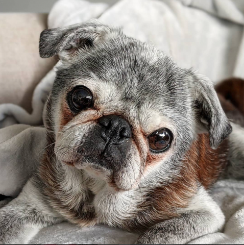 February 23, 2020: Suji Sunday! - Joseph Mallozzi's Weblog